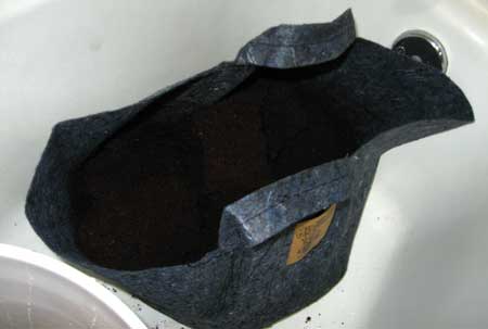 How to Grow Cannabis with Coco Coir | Grow Weed Easy