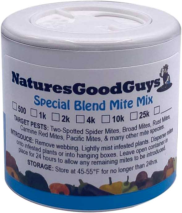 How to Identify and Get Rid of Hemp Russet Mites | Grow Weed Easy