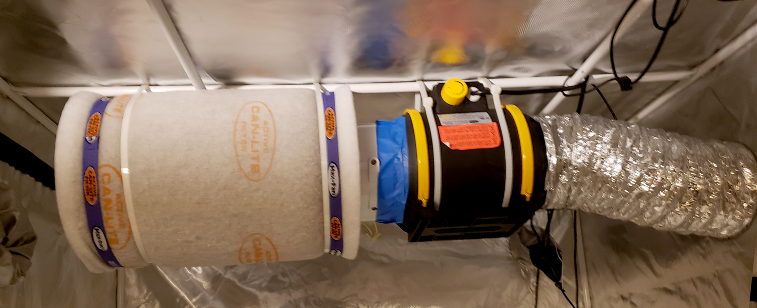 [HLG Blackbird] 600W Premium LED Cannabis Grow Setup & Shopping List ...