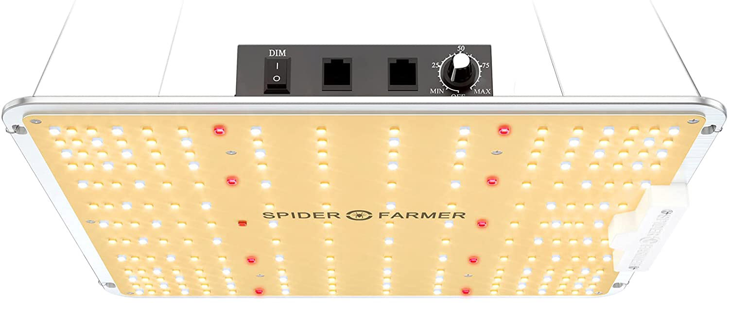 Spider Farmer SF-1000 LED Grow Light – Nebula’s Grow Journal | Grow ...