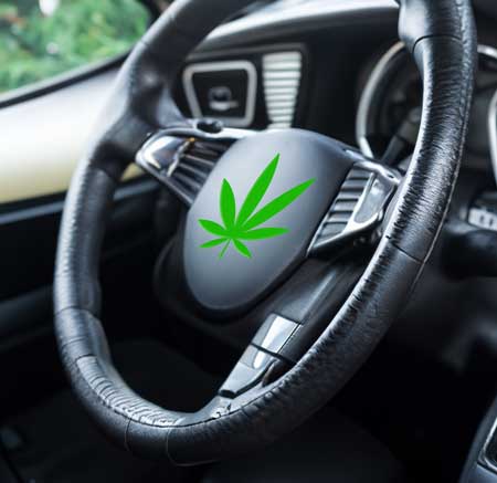 What is the difference between Cannabis "Crop Steering" and "Plant ...