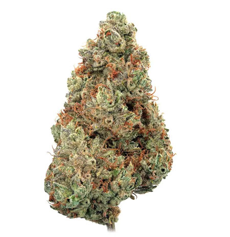 Who is Happy Valley Genetics? ("Powered by Ethos Genetics") | Grow Weed ...